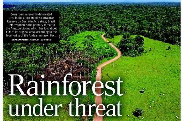 Rainforest under threat