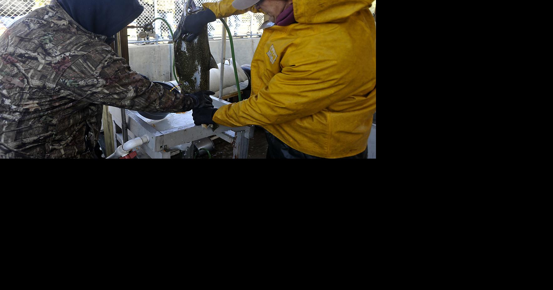 IN PHOTOS: Root River Steelhead Facility holds open house