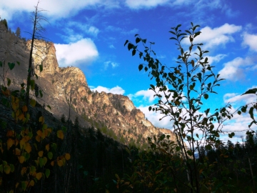 Where Have You Been: Missoula, Mont.