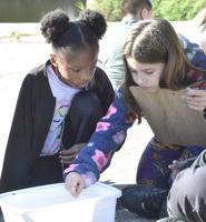 Students learn about Root River watershed, environment