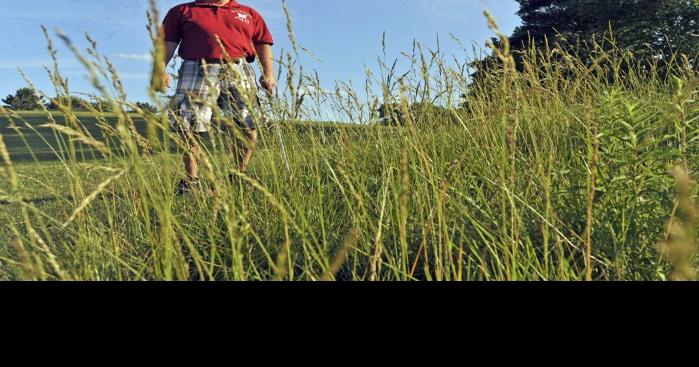 RACINE COUNTY DREAM COURSE: Shoop Park No. 6