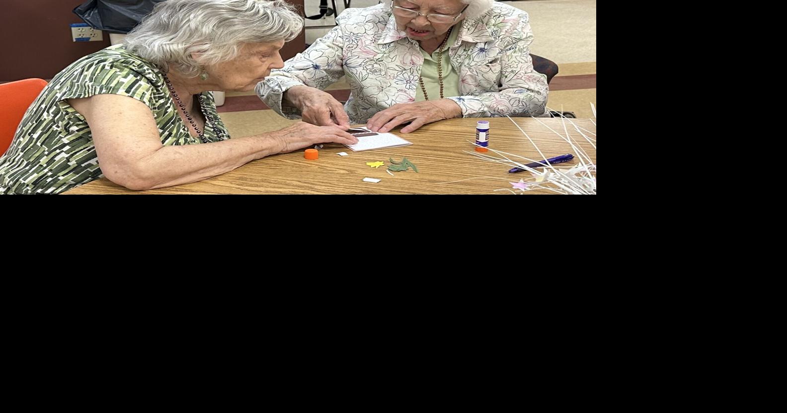 AmeriCorps Seniors RSVP volunteer program benefits community