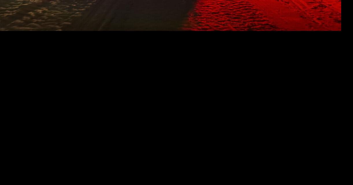 Woman impaled by tree branch sustains non-life-threatening injuries ...