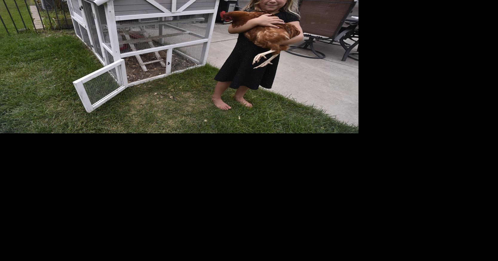 Backyard chicken policy hatching in Waterford