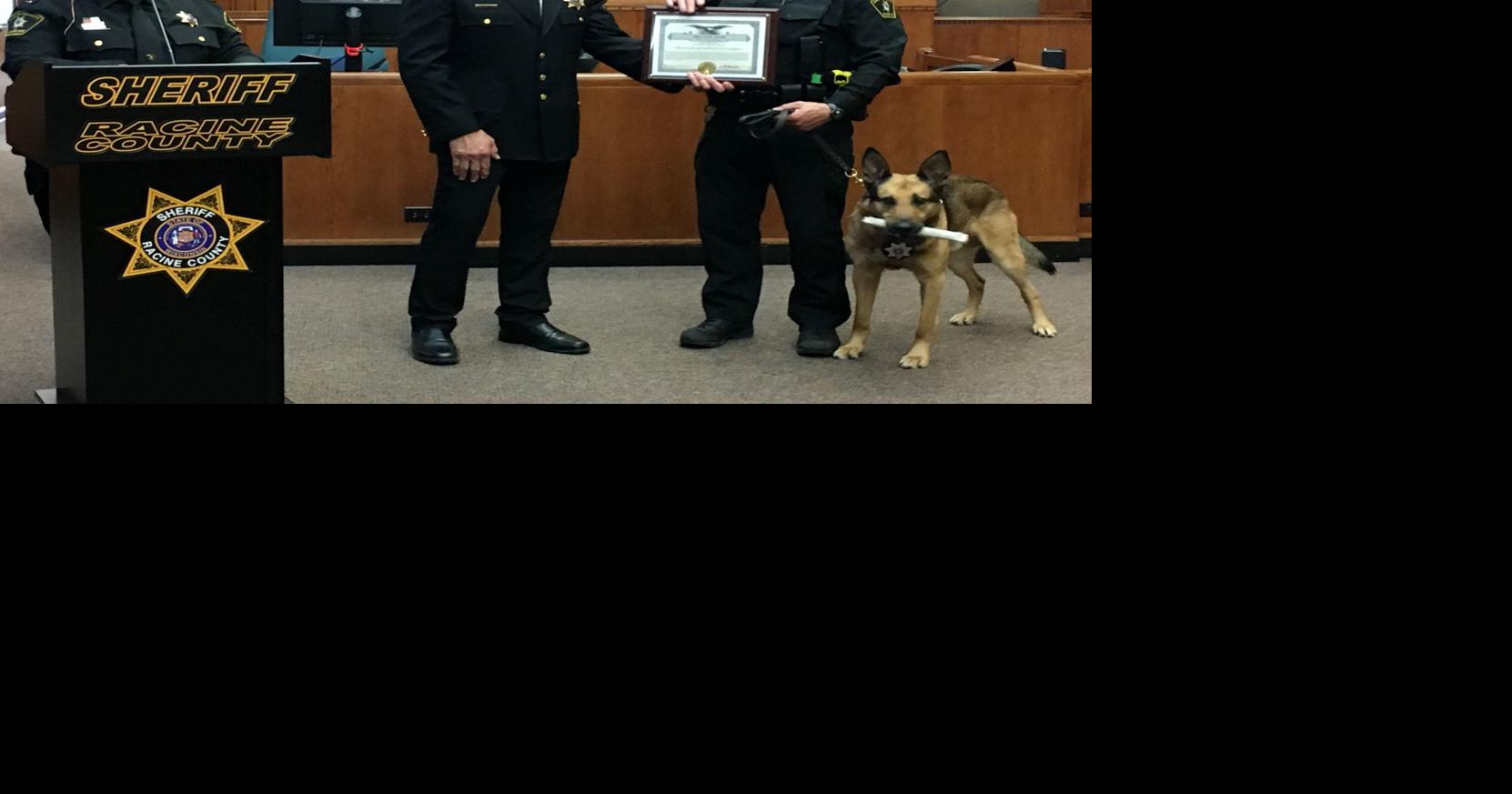 From stopping suicide to solving cold case, Racine deputies recognized