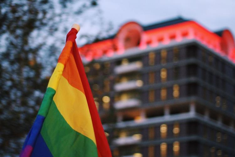 Cocky for LGBTQ+: Cocky Pride Parade brings campus and community ...