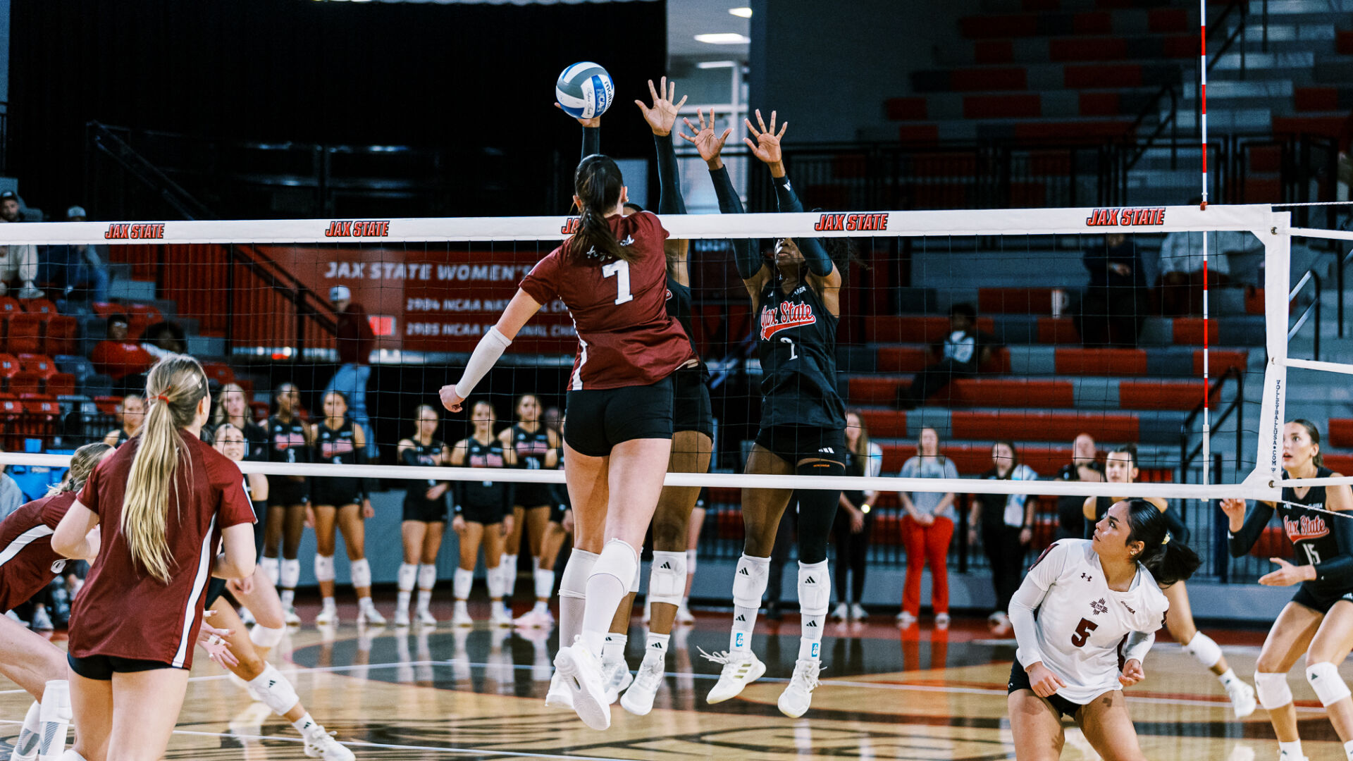 Gamecocks volleyball fall to Kennesaw State in first round of CUSA ...