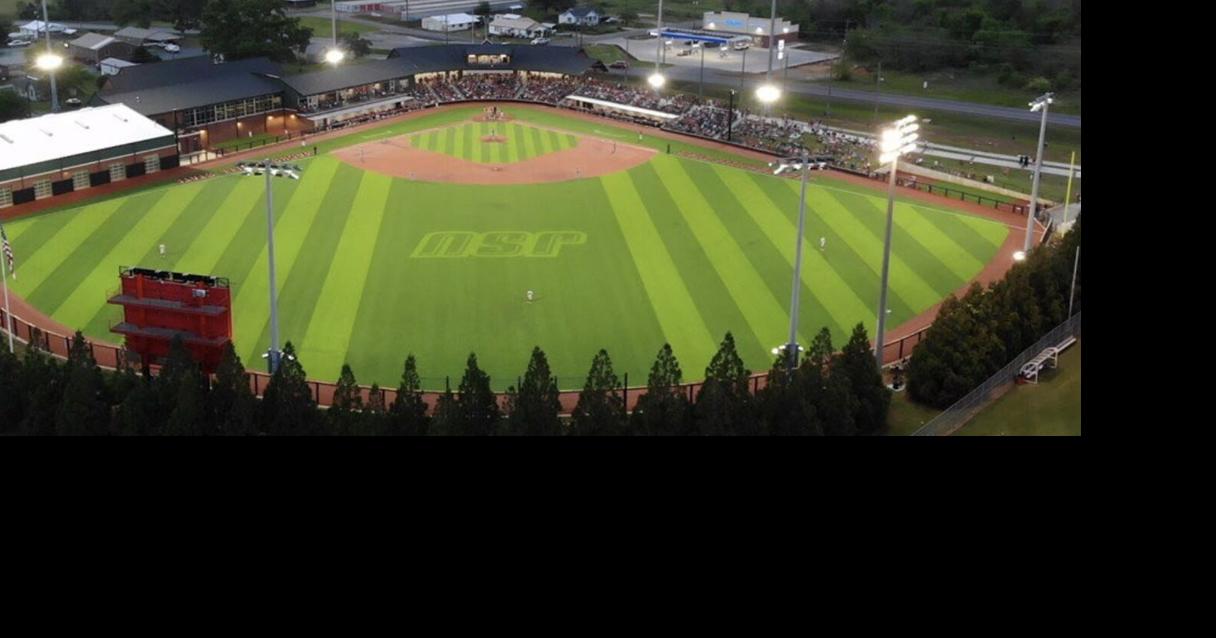 Gamecocks baseball team announces short fall exhibition schedule ...