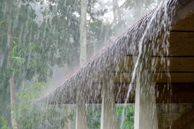It's been warm and rainy, and that's not likely to change this week ...