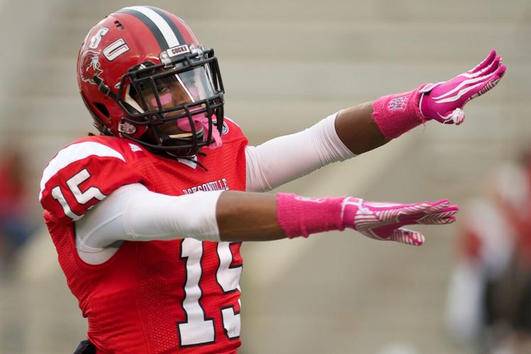 ALL-JSU FCS TEAM: Defense built on tradition | Gamecocks Football ...