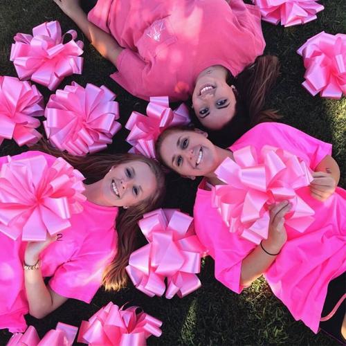 Zeta Tau Alpha has Jacksonville thinking pink | News | jsuchanticleer.com