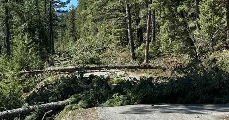Storm damage make many trails and roads inaccessible in Little Belt and ...