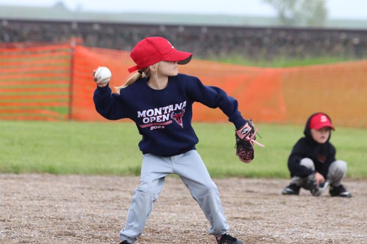 First places for Hobson-Moore Peewee, Stanford Little League | News ...