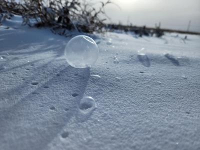Science Time: Bubble freezing | News | judithbasinpress.net