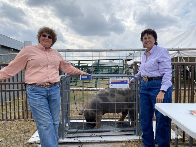 Local Farm Bureau donates livestock scale | | judithbasinpress.net