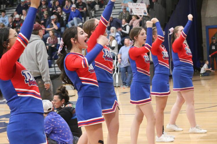 DGSG cheerleaders bring enthusiasm and pride for Bearcats | Sports ...