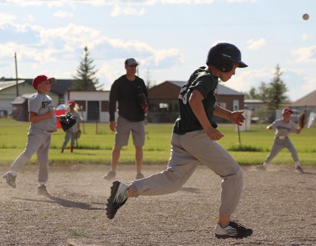 Triangle League Baseball | News | judithbasinpress.net