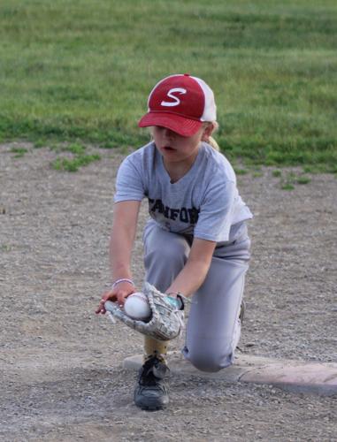 Triangle League Baseball | News | judithbasinpress.net