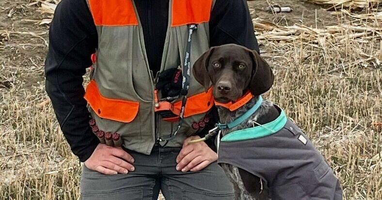 New FWP Wildlife Biologist position filled for Stanford | News ...