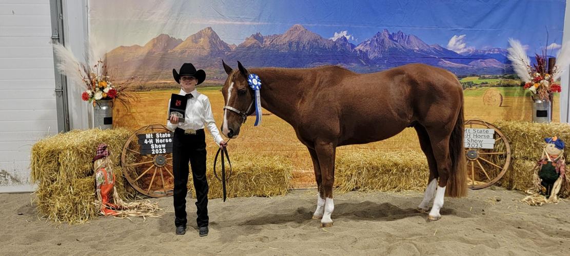 Strong showing at State Horse Show | News | judithbasinpress.net