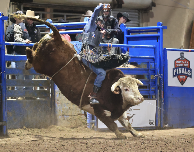 Year End All Around Champ: Stanford’s Luke Gee back on top at circuit ...