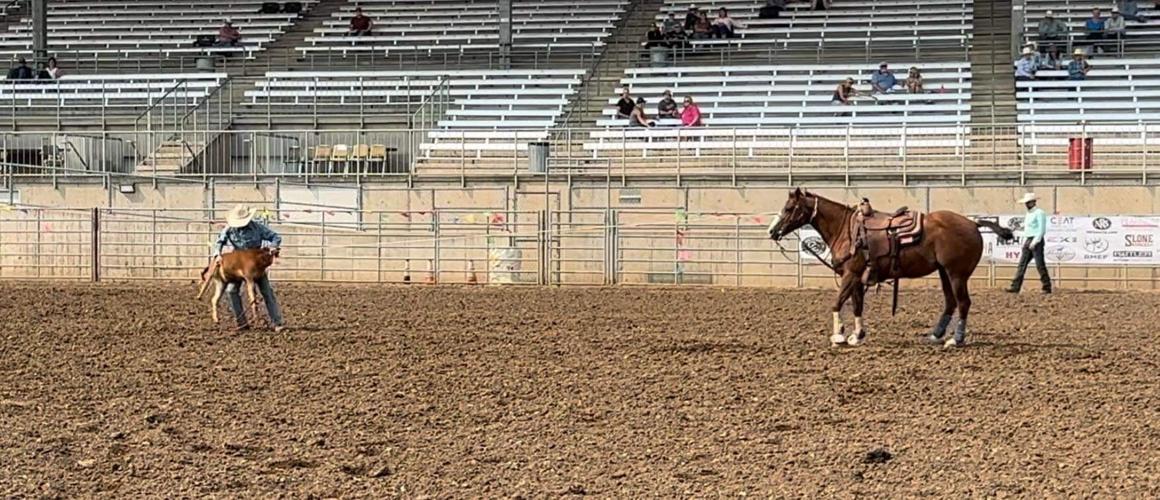 Rodeo kicks off fall season | Sport | judithbasinpress.net