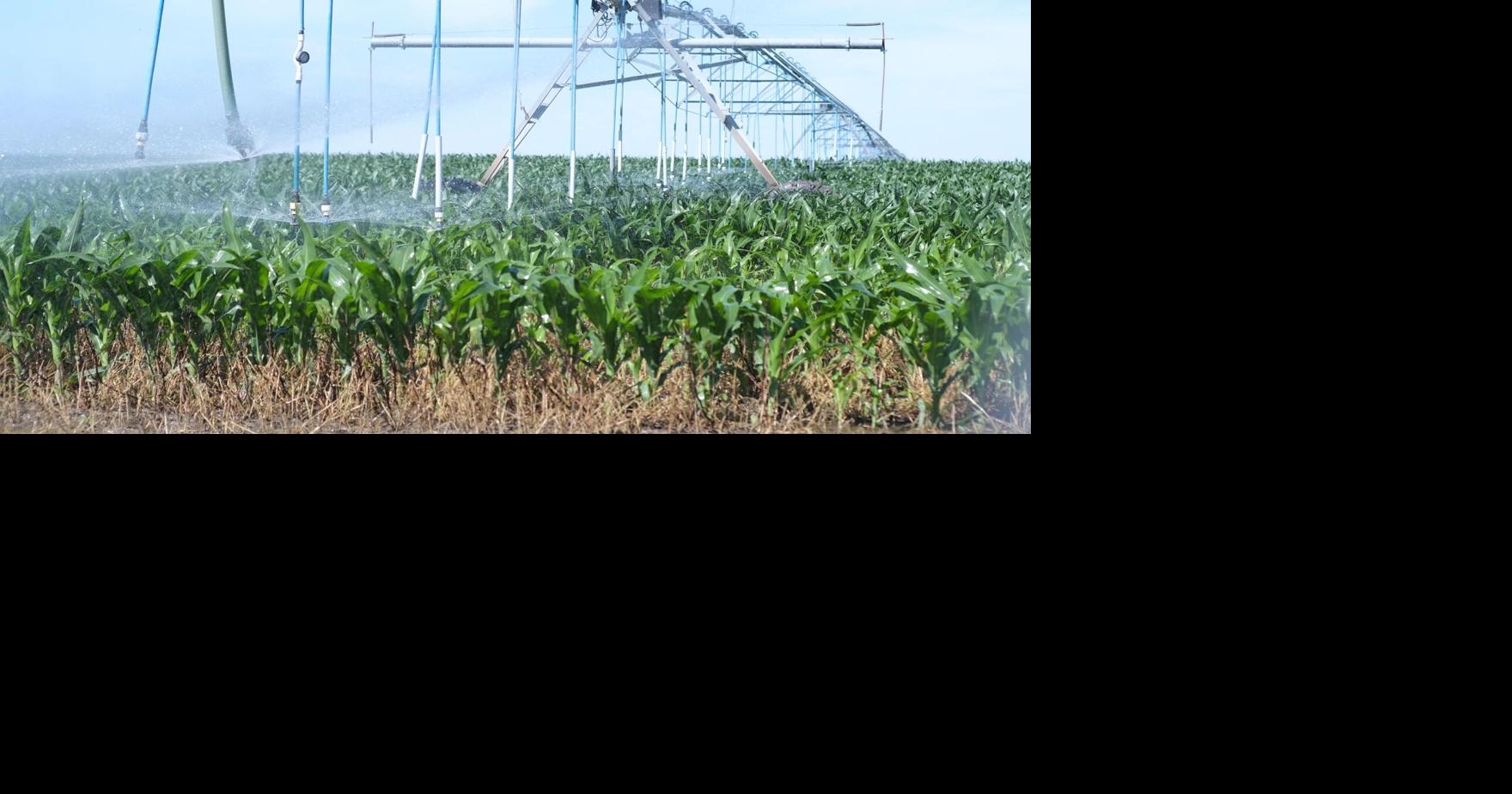 An AI data center project for western Kansas might use less water than ...