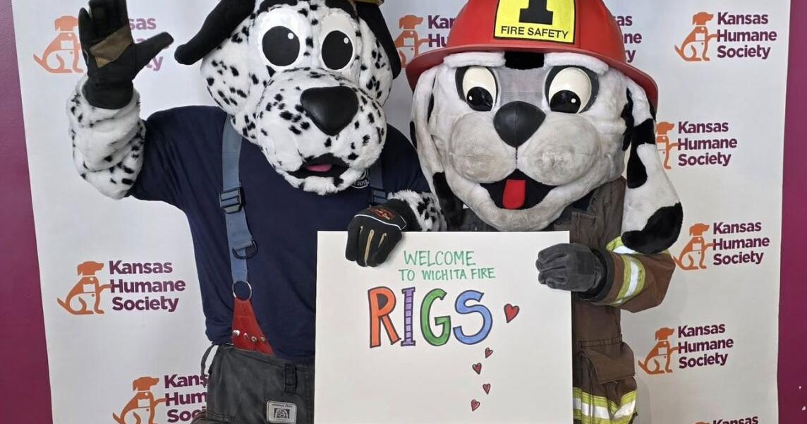 Wichita Fire Department introduces new mascot, 'Rigs the Dalmatian ...