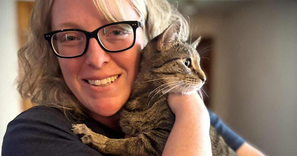 Cat who survived 'disgustingly shocking' attack finds her forever home ...