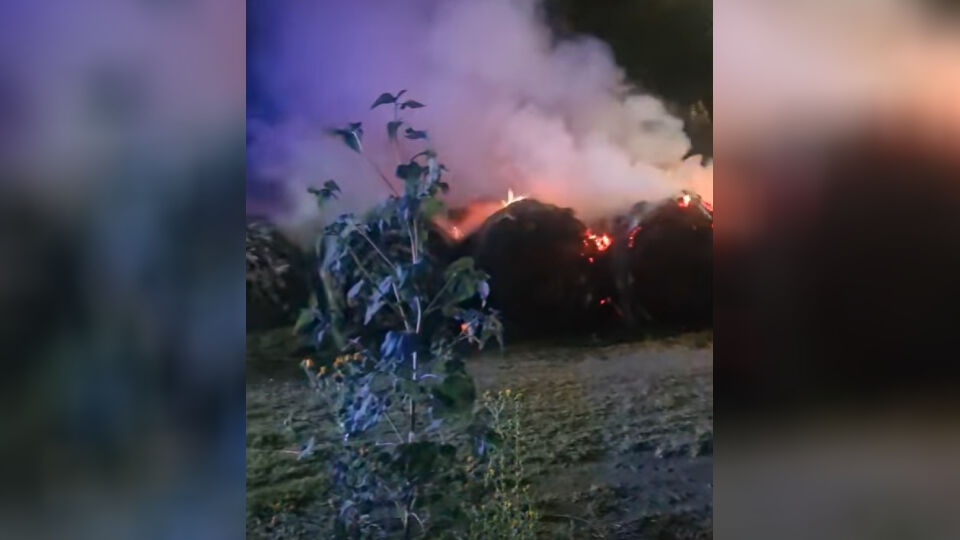 Fire at Winfield Clydesdale ranch burns 45 bales of hay | Trusted News ...
