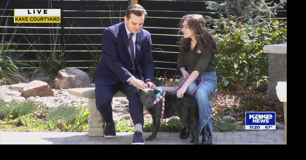 Pet Pals: Meet Rain Boot! | Video | kake.com