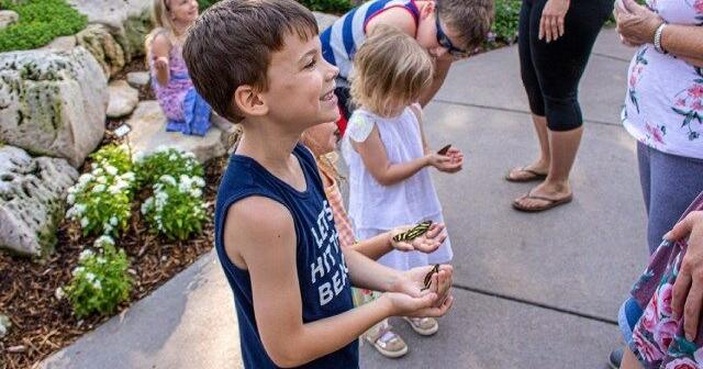 Botanica to host summer kickoff party for kids | | kake.com