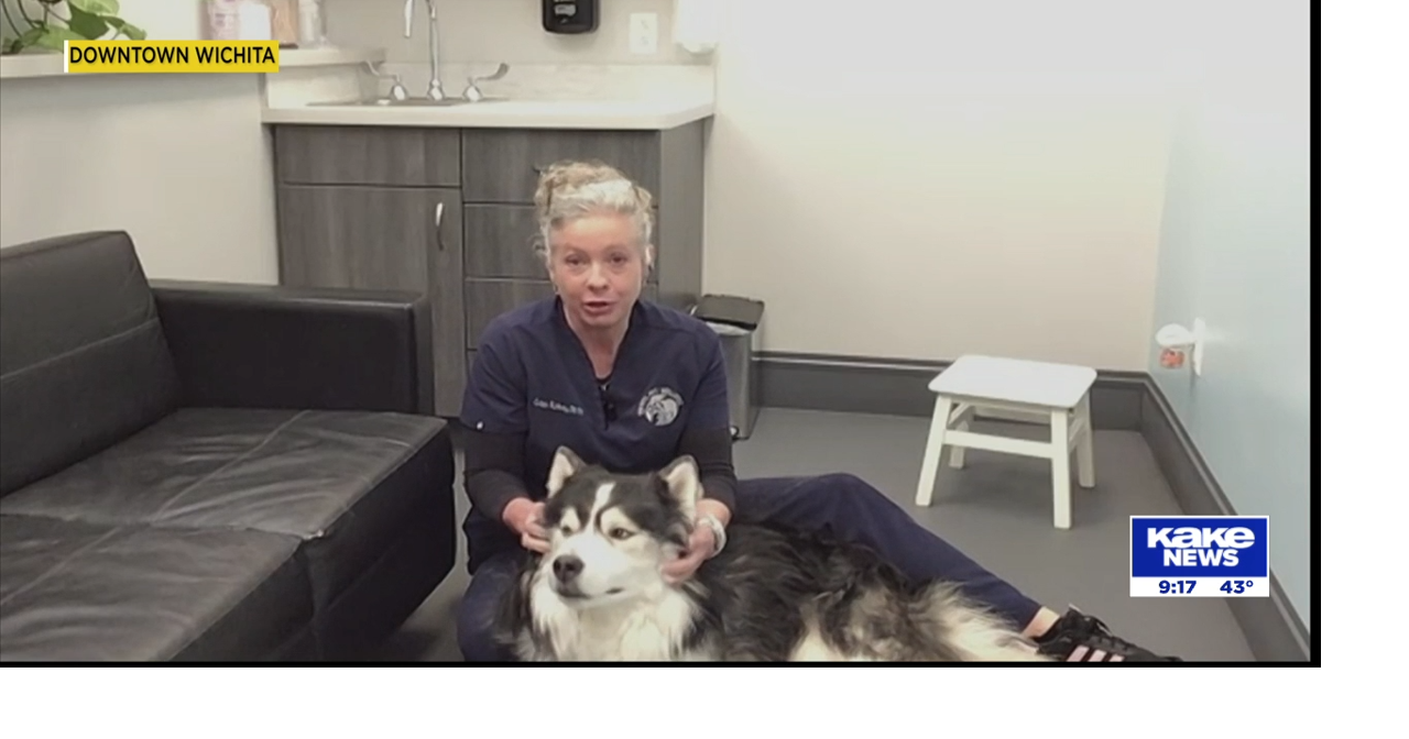 Wichita Pet Wellness | Video | kake.com