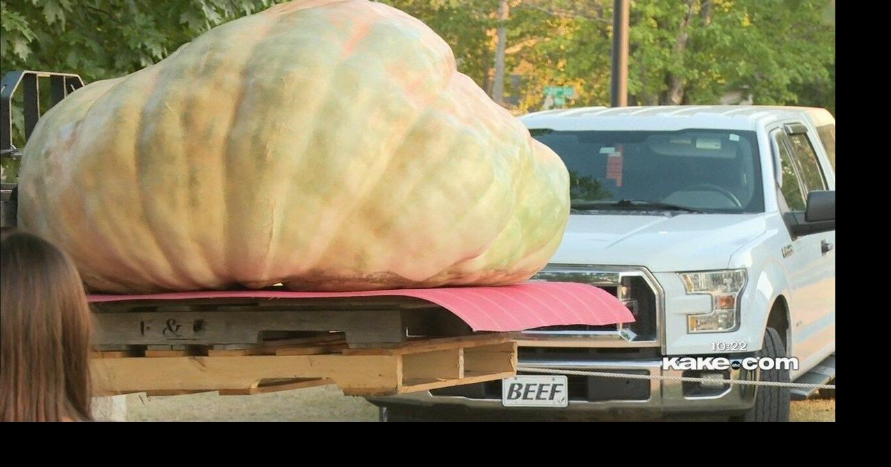 'It was exceptionally hot': Few entries as father and daughter win Kansas pumpkin competition ...
