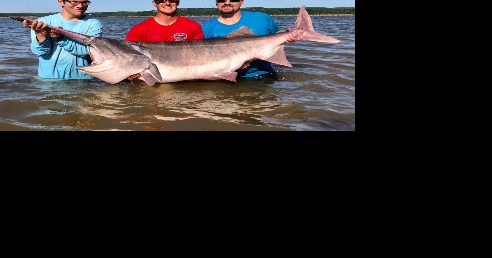 Wichita man catches world-record paddlefish in Oklahoma's Keystone Lake ...