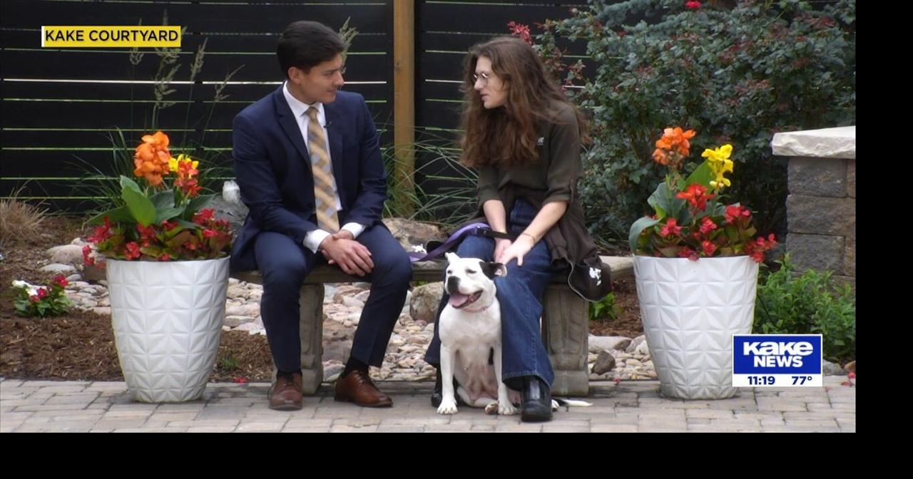 Pet Pals with Mary | Video | kake.com