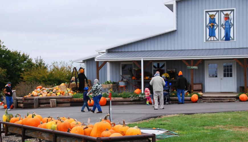 LIST: Pumpkin patches, haunted tours, festivals and more seasonal fun ...