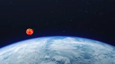 astronauts find missing tomato