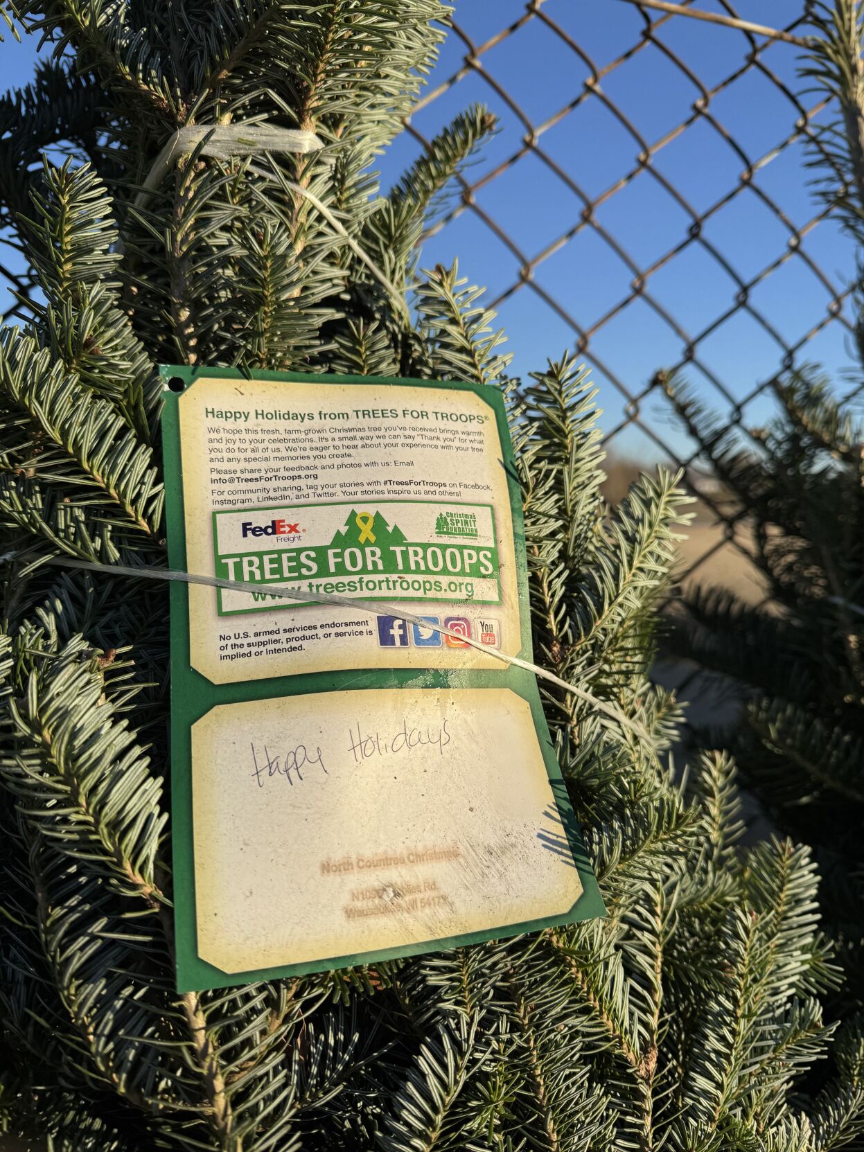 McConnell giving away over 100 trees to US troops and their families as ...
