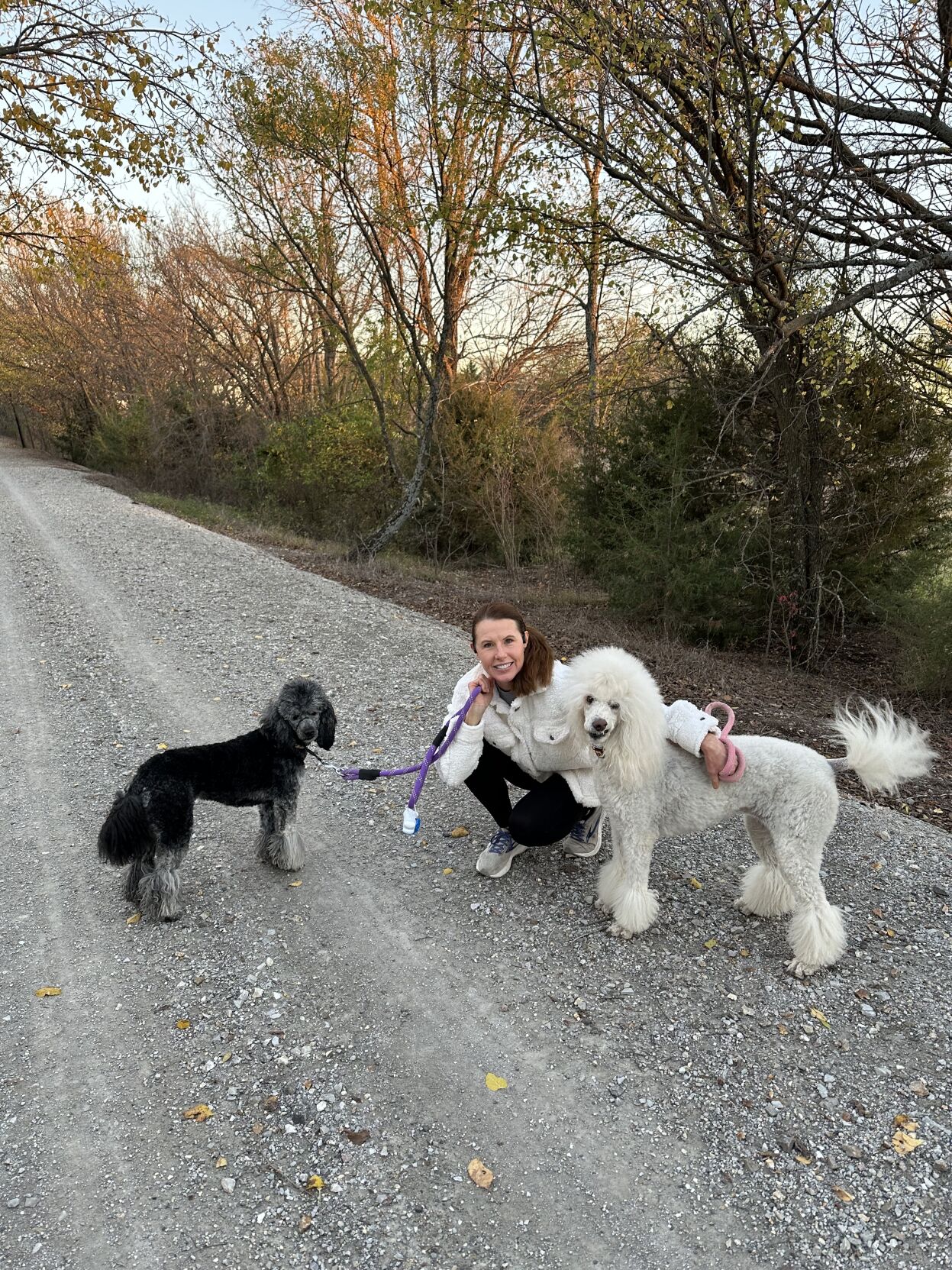 Local business supports Andover woman who was mauled by two dogs while ...