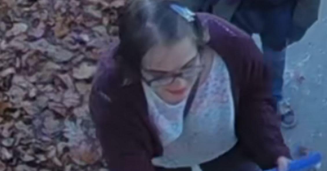 ‘Slender Man’ stabber back in custody. What we know about her ...