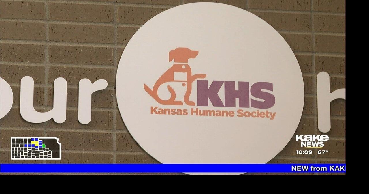 Kansas Humane Society, WAAL look to change state rule on transporting ...