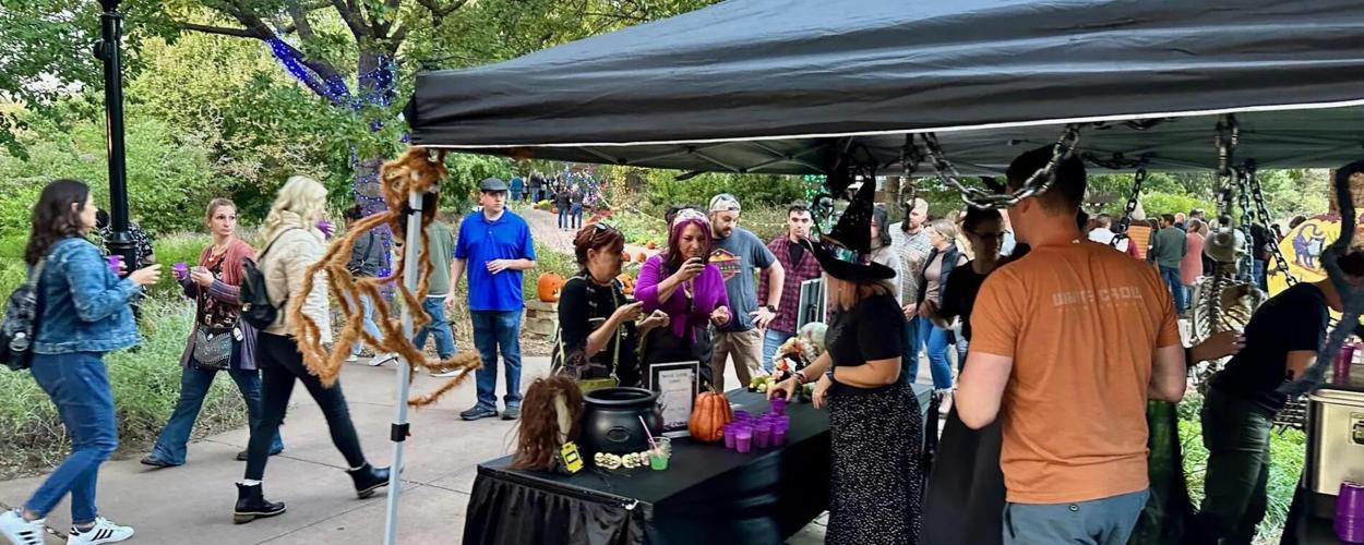 LIST: Pumpkin patches, haunted tours, festivals and more seasonal fun ...