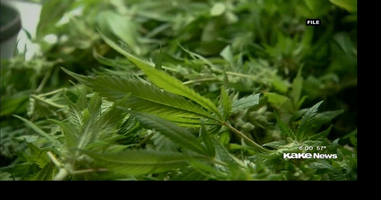 Medical marijuana advocates hope possession pardons open door for ...