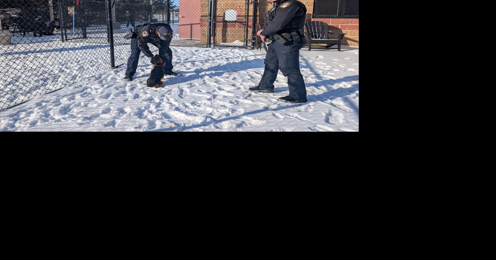 Hutchinson Police Department lends a paw at local animal shelter ...