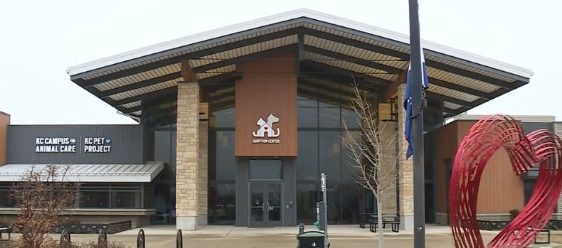 KC Pet Project waives adoption fees for dogs through Sunday after ...