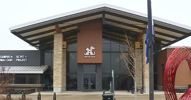 KC Pet Project waives adoption fees for dogs through Sunday after ...