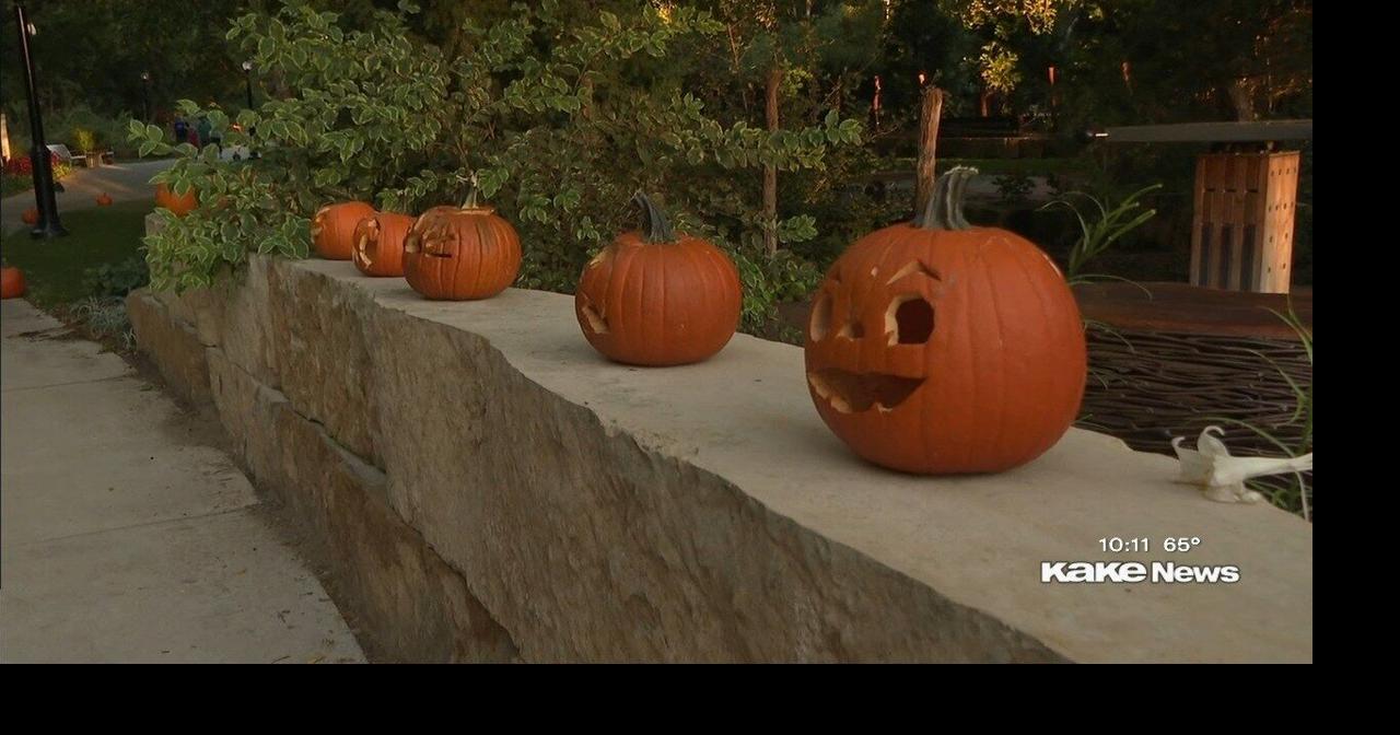 It's officially spooky season with thousands of pumpkins at Botanica's ...