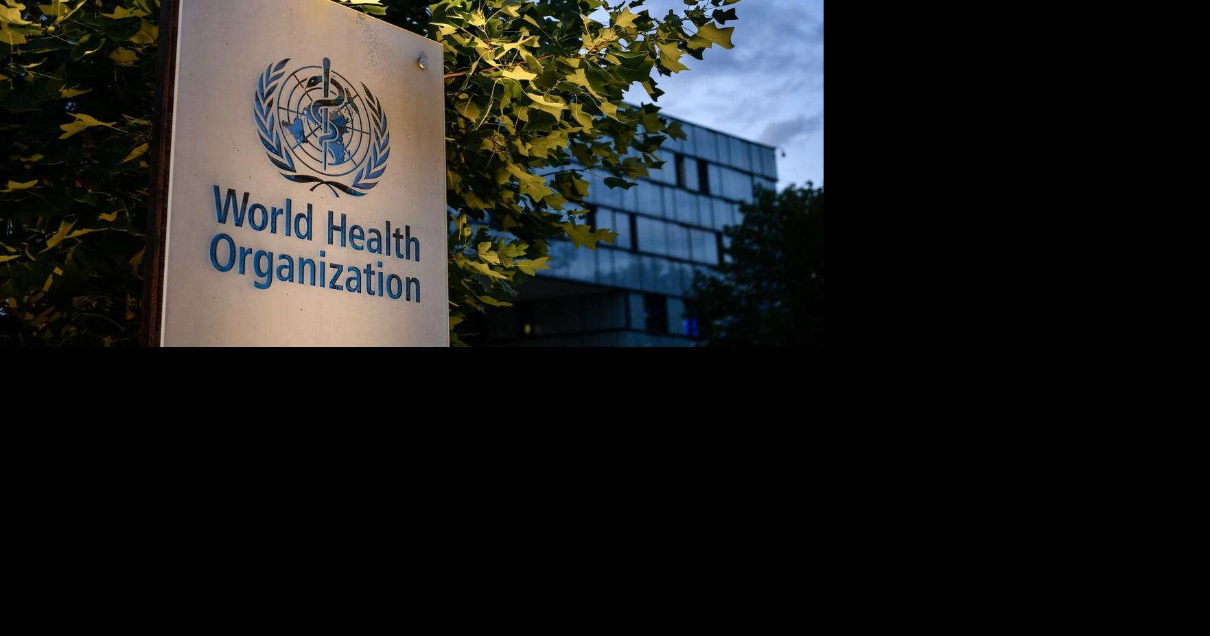 WHO panel finds no link between vaccines and autism | News | kake.com