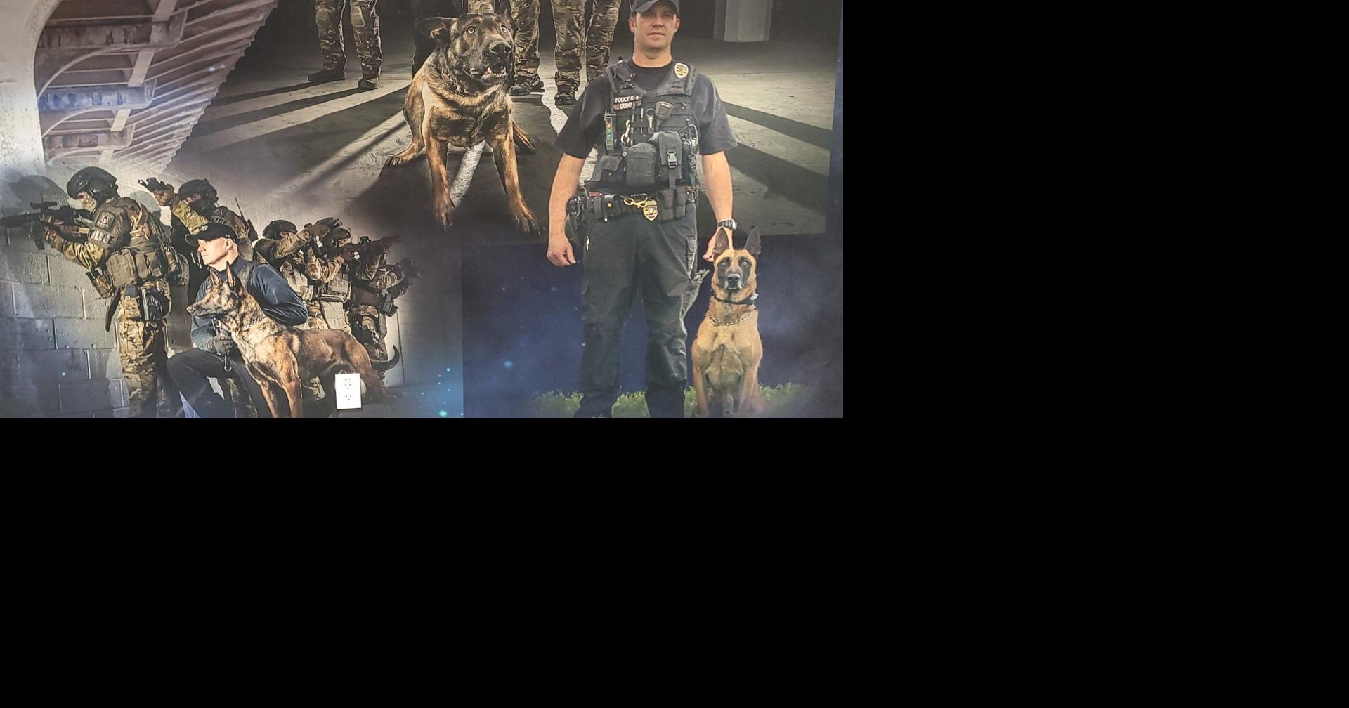 New Wichita police substation mural honors fallen K-9 officers and ...